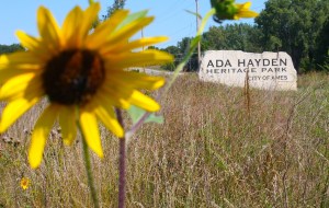 Ada Hayden Heritage Park | Iowa Girl on the Go