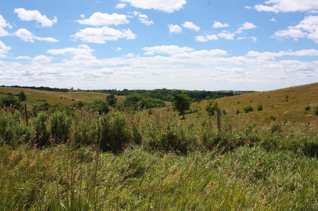 Adventures in western Iowa, part 3: Hiking the Loess Hills | Iowa Girl ...