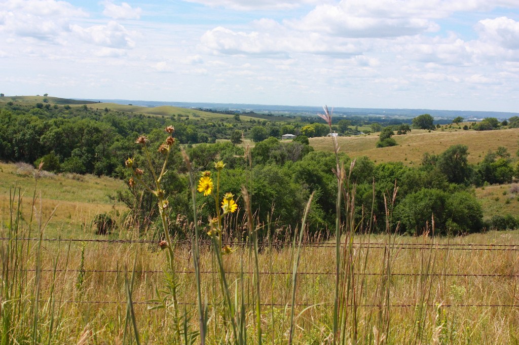 Adventures in western Iowa, part 3: Hiking the Loess Hills | Iowa Girl ...